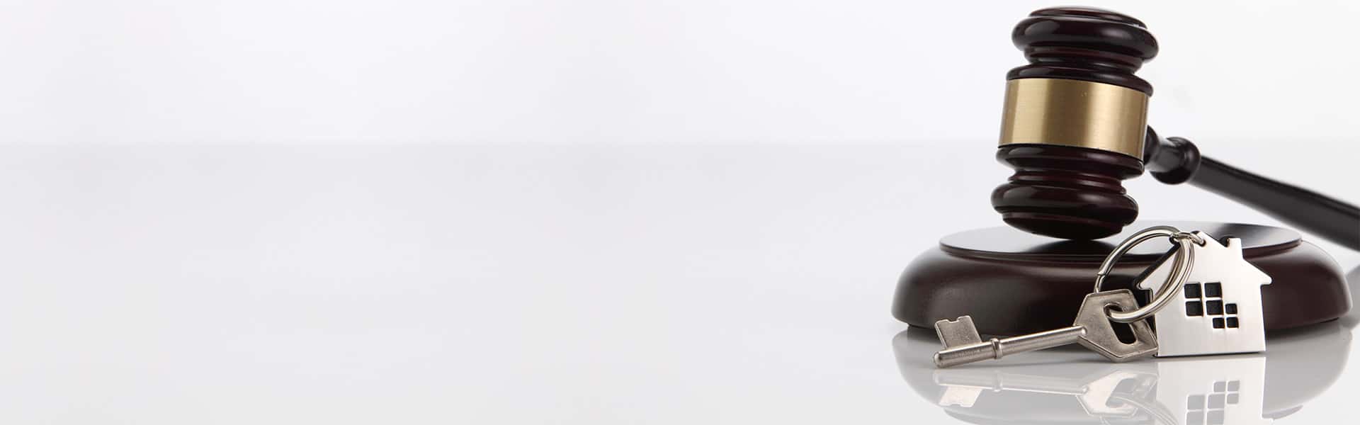 ASM Law, P.C. | Elgin, IL Attorney | Bankruptcy | Immigration | Real Estate